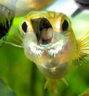 Bouldering holds: Ultimate guide and how to master them | Boulderflash